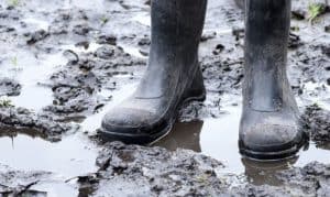 12 Best Boots for Working in Mud Reviewed and Rated in 2025
